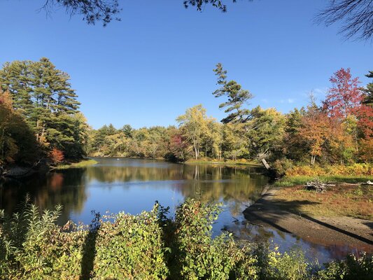 Lake George River View Campground Reviews updated 2025