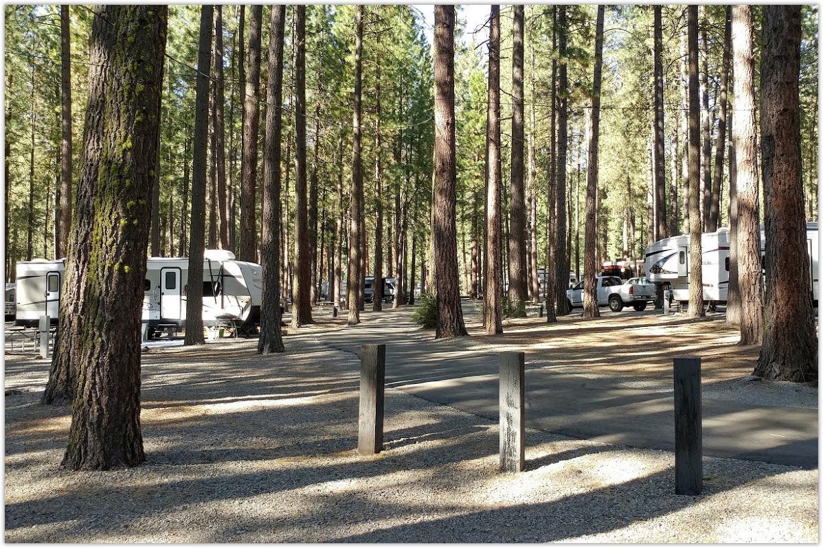 Little Bear RV Park Reviews updated 2025