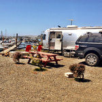 Porto Bodega Marina & RV Park Reviews - Campendium