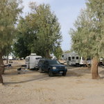Havasu Landing Resort & Casino Campground Reviews - Campendium