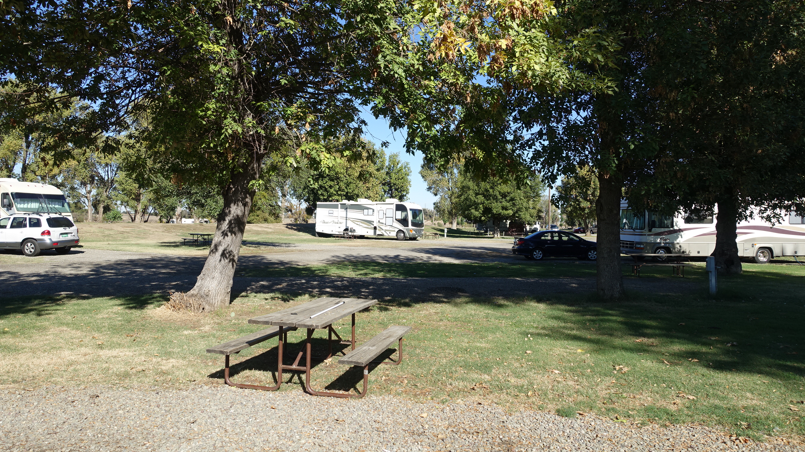 Turtle Beach RV Resort Reviews updated 2026