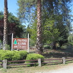 Mt. Madonna County Park Reviews - Campendium