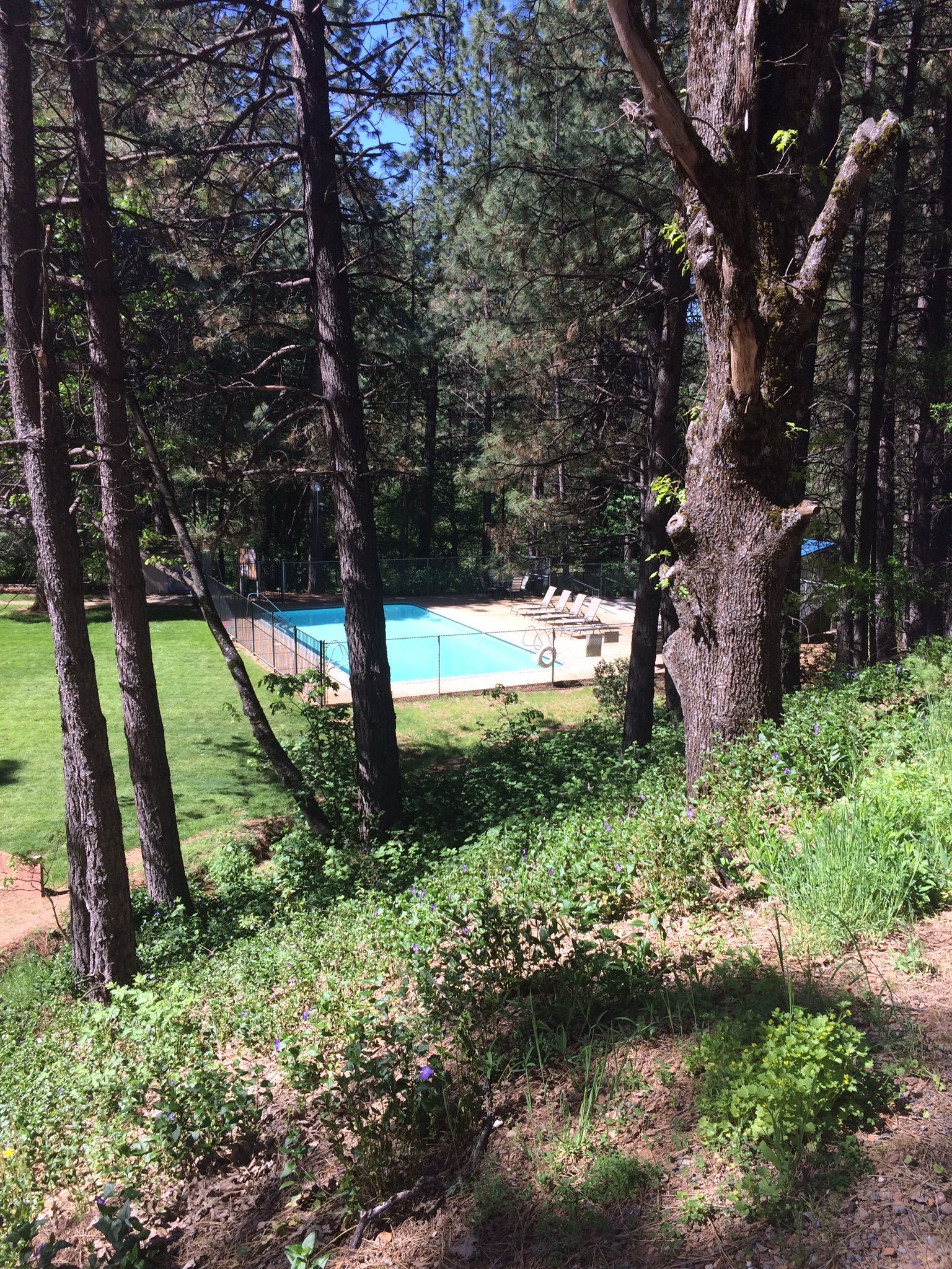 Harmony Ridge Resort Reviews updated 2025