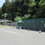 Ancient Redwoods RV Park Reviews - Campendium
