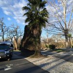 JGW RV Park Reviews - Campendium