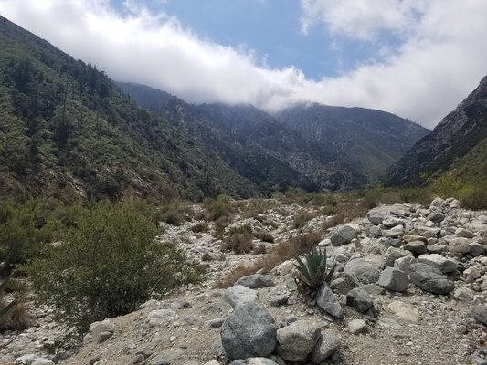 Bonita Ranch Campground Reviews updated 2025