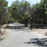 Steckel Park Reviews - Campendium