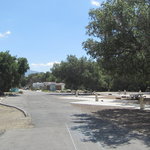 Steckel Park Reviews - Campendium