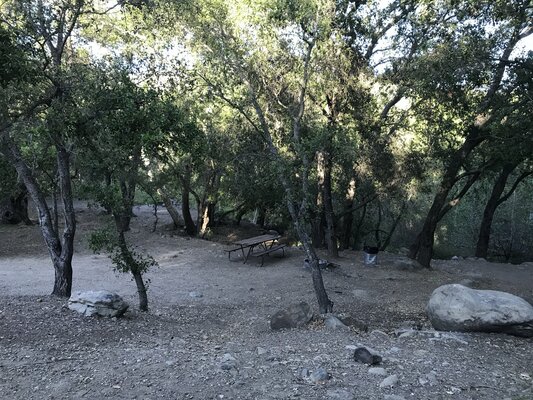 Steckel Park Reviews updated 2022