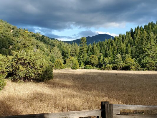 Benbow Lake State Recreation Area Reviews updated 2026