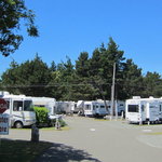 Cape Blanco State Park Reviews - Campendium