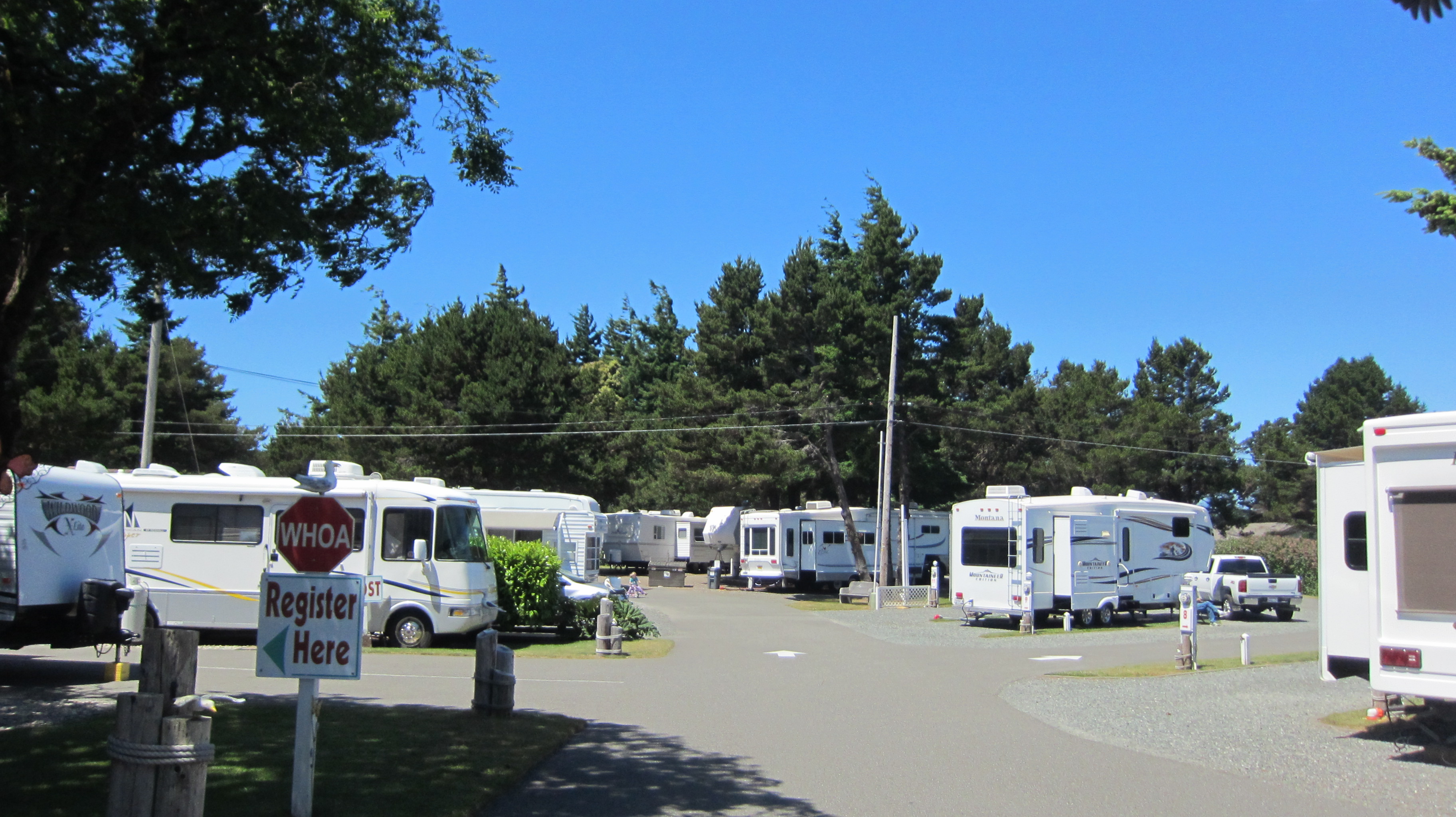 Camp Blanco RV Park Reviews updated 2026