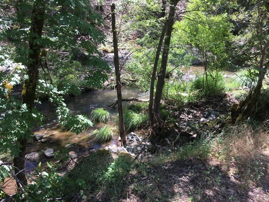 Blue Oak Campground Reviews updated 2026