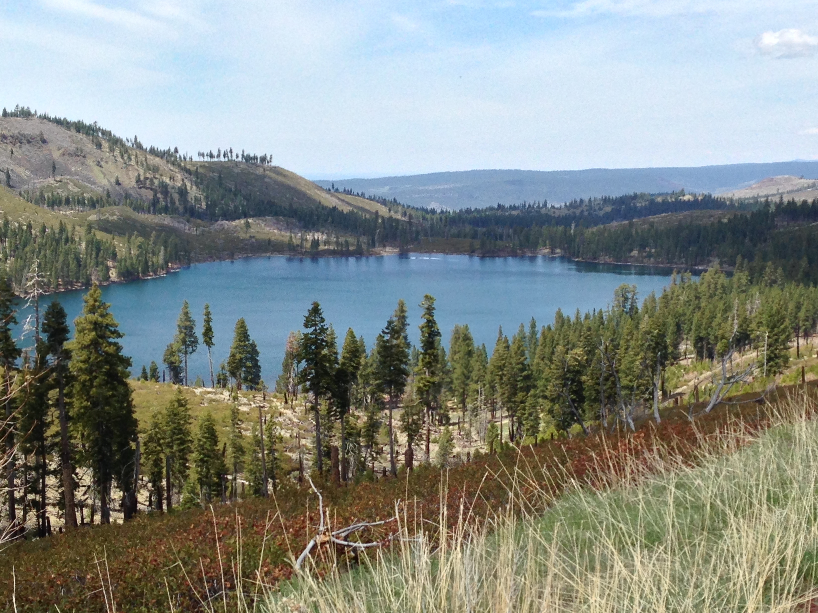 Blue Lake Campground Reviews updated 2025