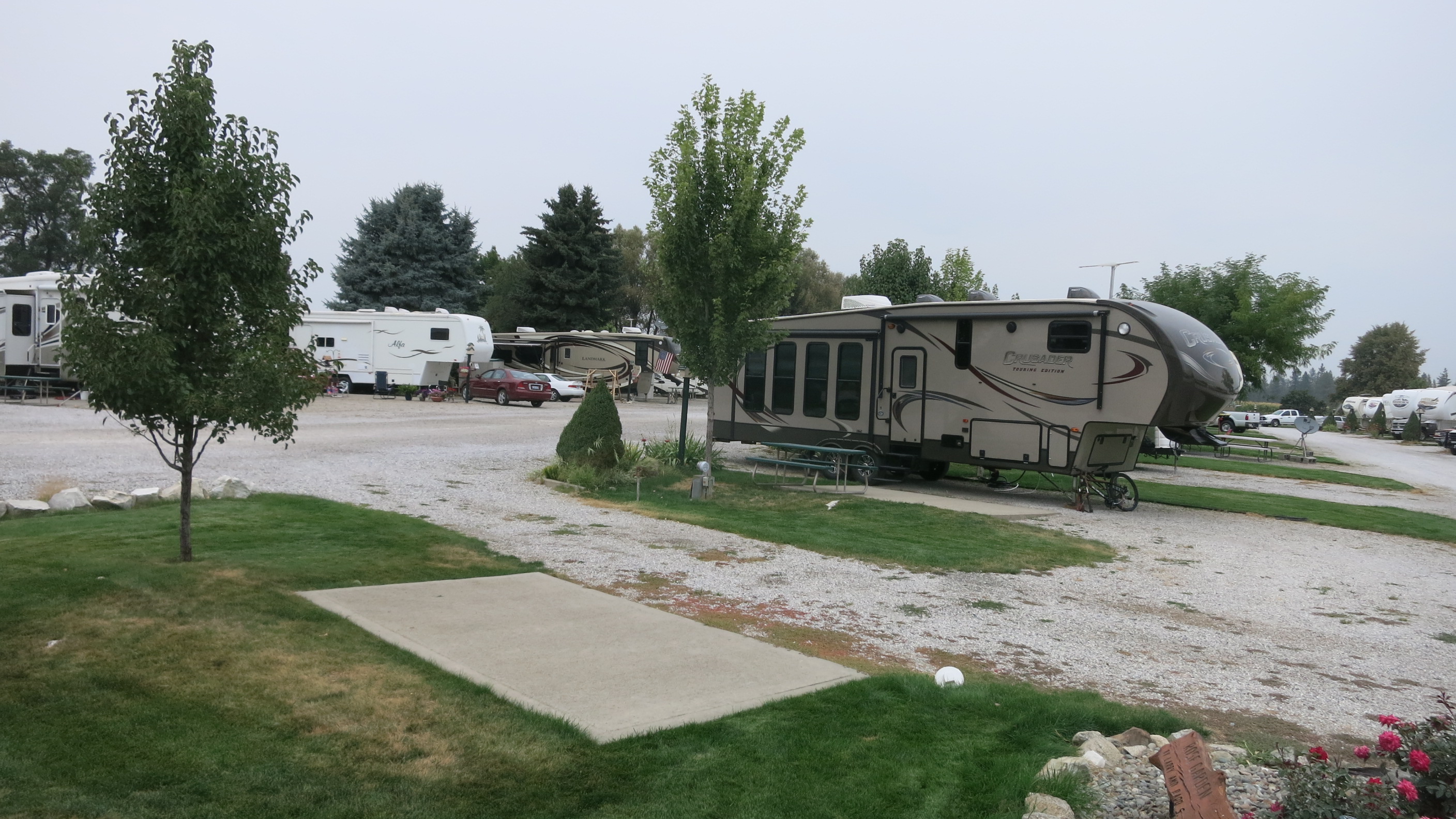 Wild Rose RV Park Reviews updated 2025