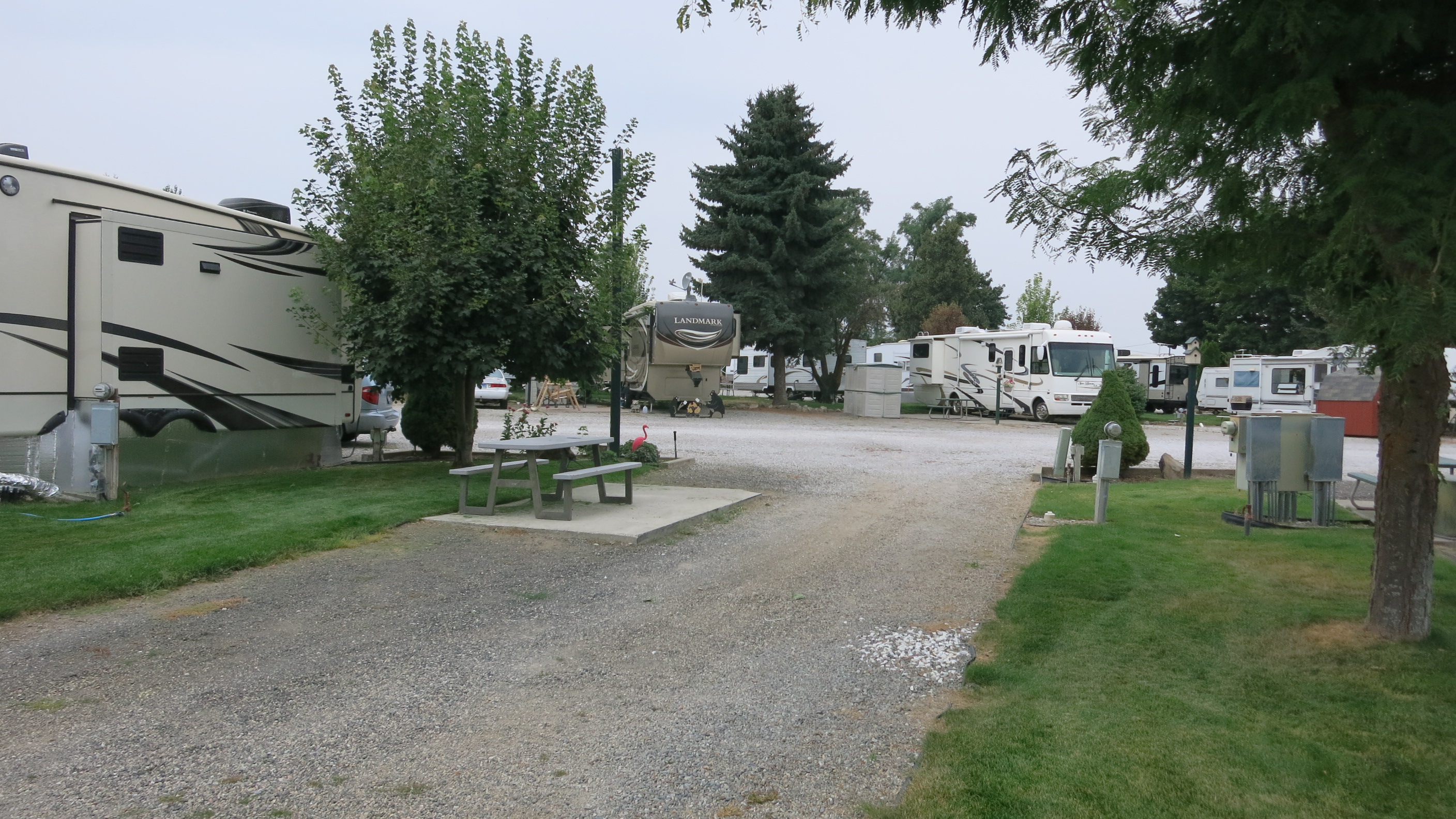 Wild Rose RV Park Reviews updated 2025