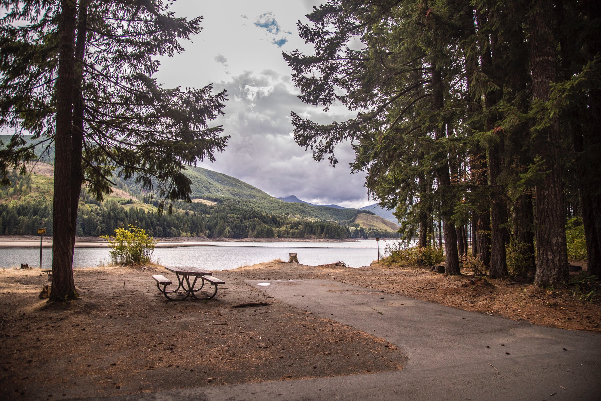 Swift Forest Camp Reviews updated 2025