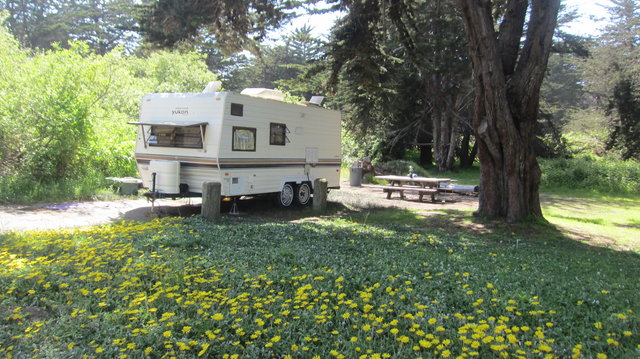 Bodega Dunes Campground Reviews updated 2026