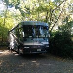 La Conner RV & Camping Resort Reviews - Campendium
