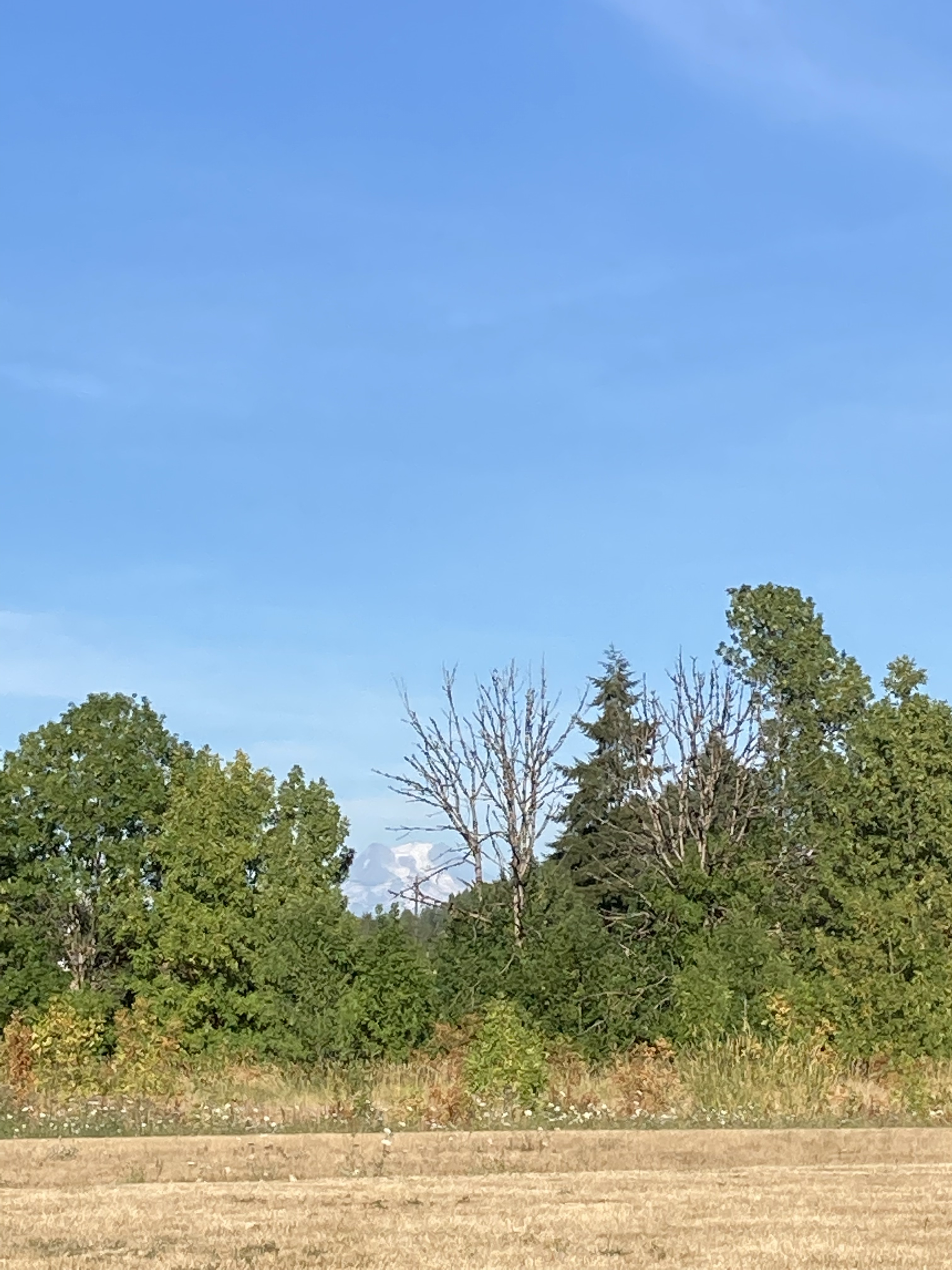 Eagle RV Park Reviews updated 2025