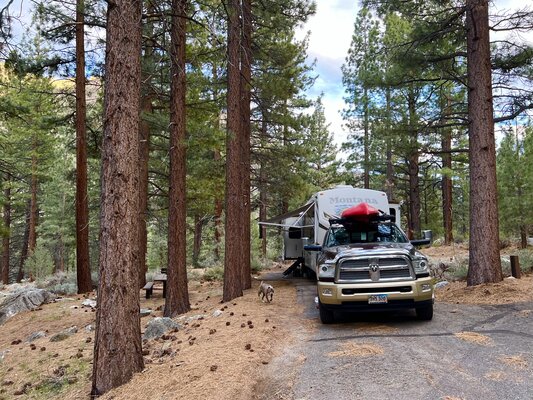 Bootleg Campground Reviews updated 2022