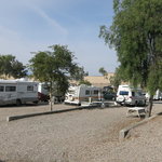 Lake Havasu State Park Reviews updated 2019