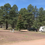 Mormon Lake Lodge RV Park & Campground Reviews - Campendium
