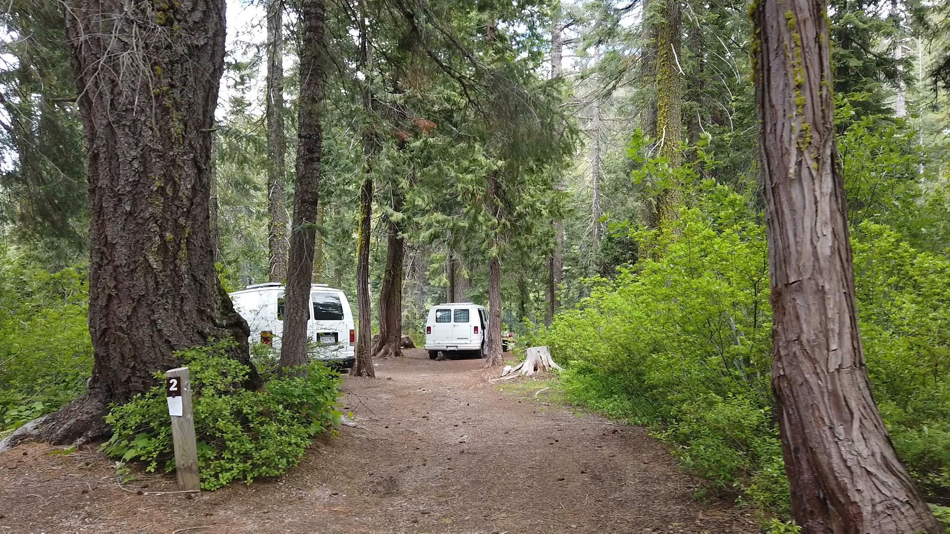 Castle Lake Campground Reviews updated 2025