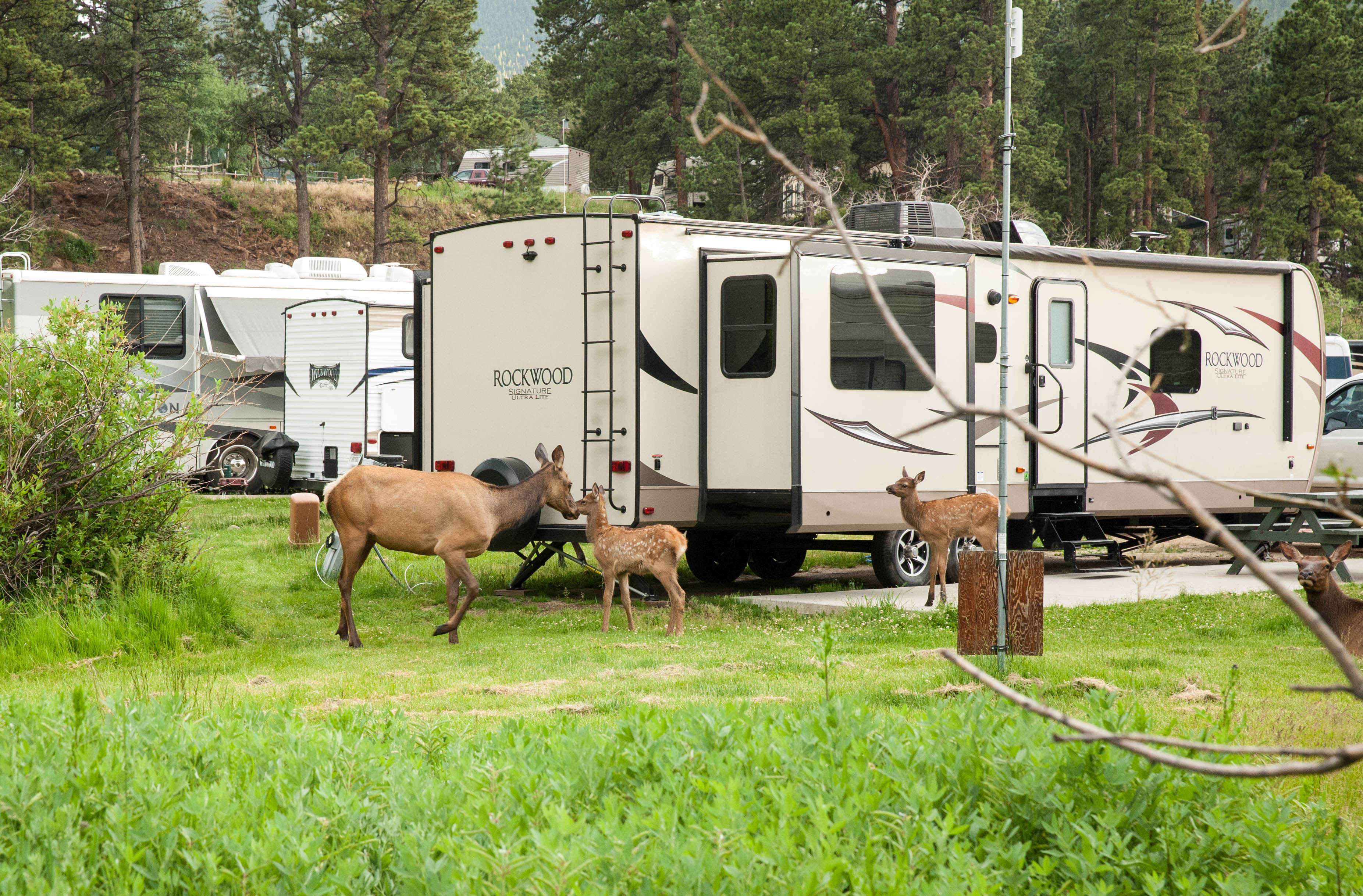 Manor RV Park Reviews updated 2025