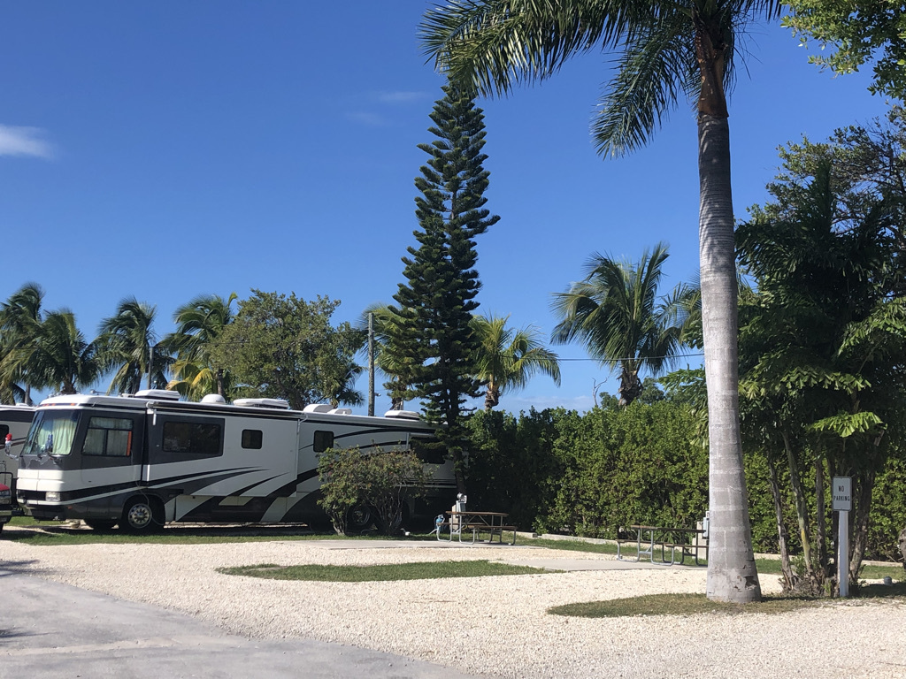Photo of Boyd's Key West Campground | Roadtrippers