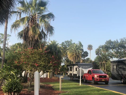 Tropical Palms RV Resort Reviews updated 2025