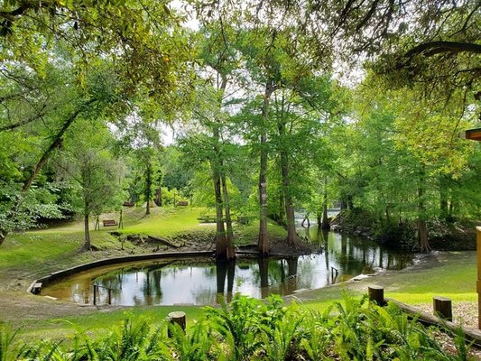 Suwannee River Rendezvous Resort & Campground Reviews updated 2020