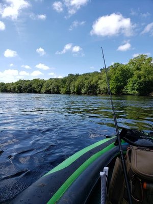 Suwannee River Rendezvous Resort & Campground Reviews updated 2020