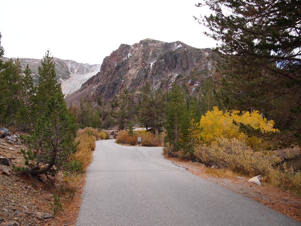 Ellery Campground Reviews updated 2025