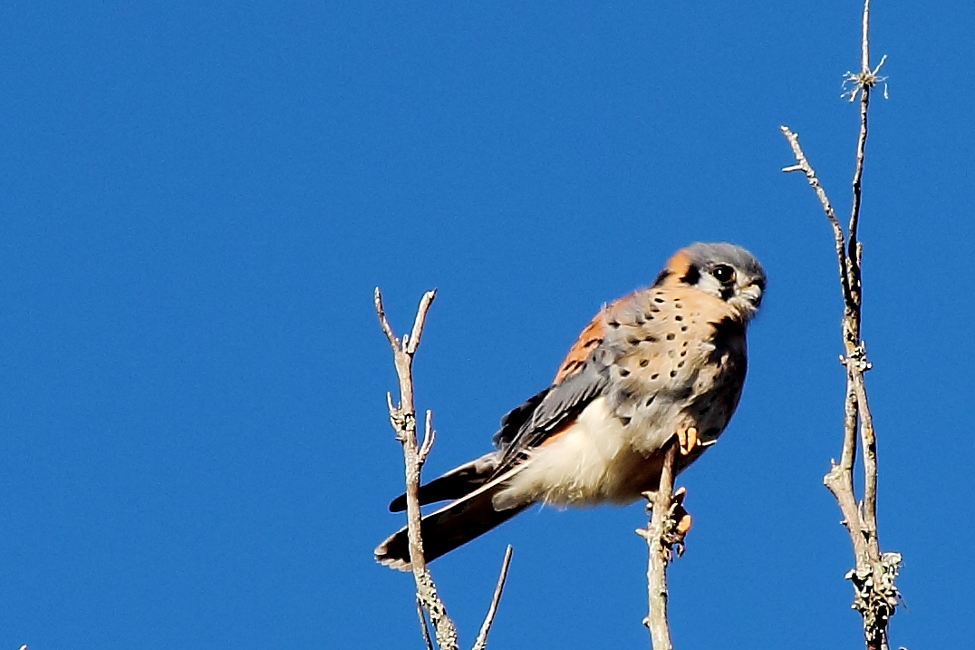 Wilderness RV Resort Reviews updated 2025