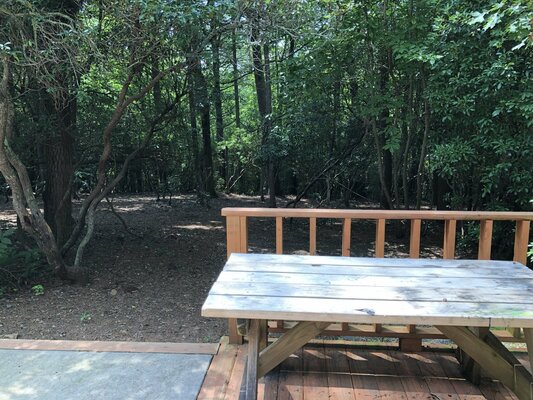 Timber Ridge Resort Reviews updated 2025