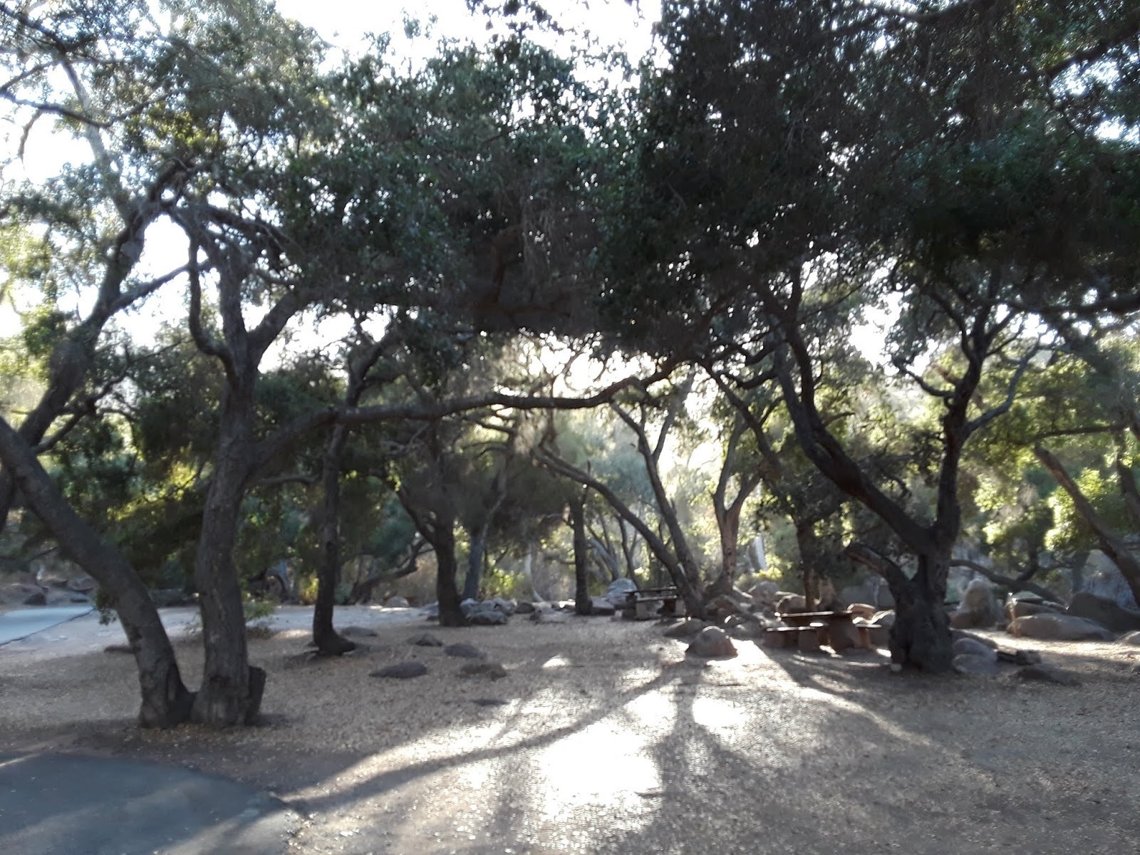 Foster Residence Campground Reviews updated 2022