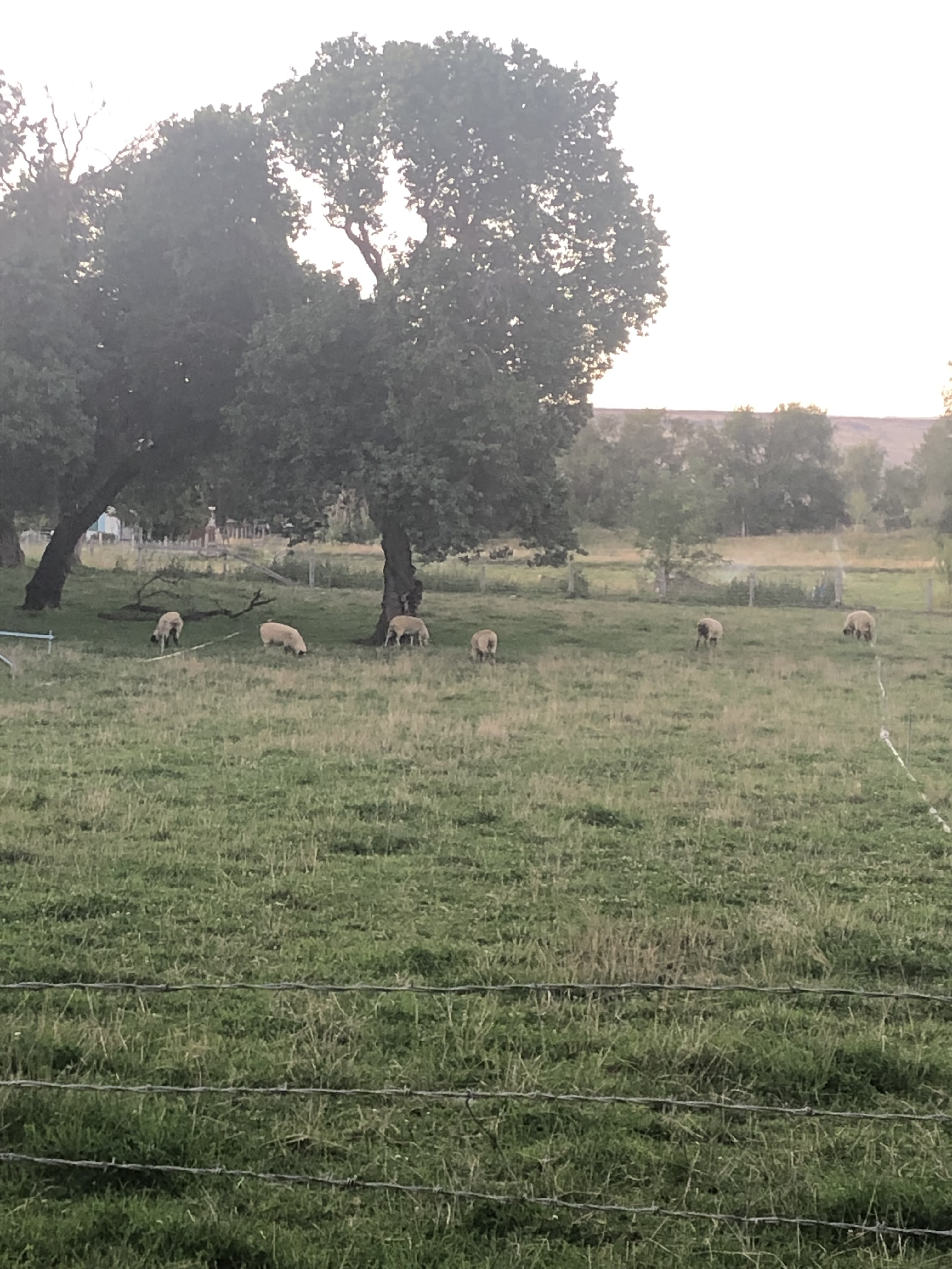 Trail Break RV Park Reviews updated 2025