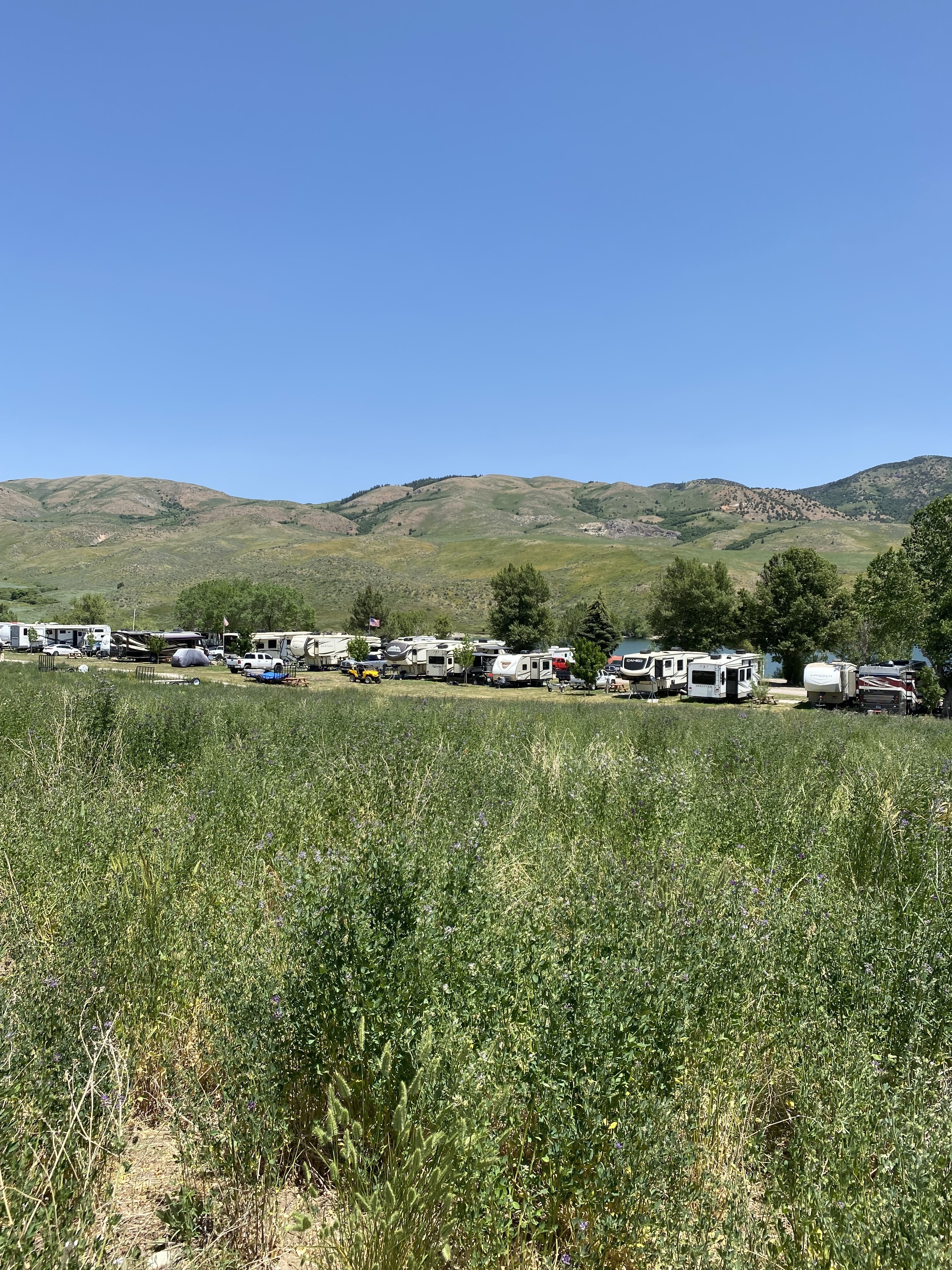 Sunrise Summit RV Resort Reviews updated 2026