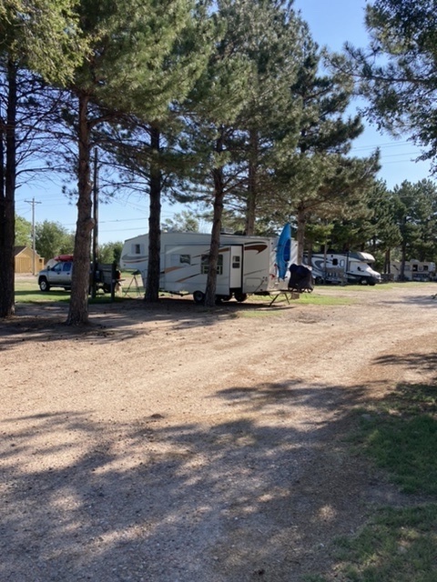 Pine Tree RV Park Reviews updated 2025