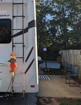 Evergreen Point Village Reviews updated 2025