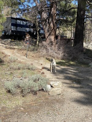 Kit Carson Campground Reviews updated 2025