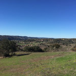 Laguna Seca Recreation Area Reviews - Campendium