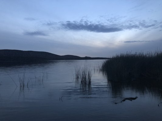 Lake Skinner Recreation Area Reviews updated 2020