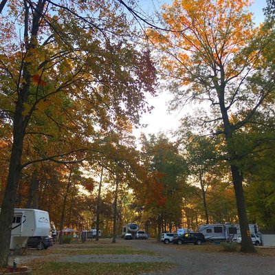 Tree Haven Campground Reviews updated 2026