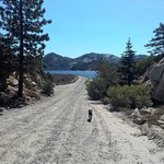 Loon Lake Campground Reviews - Campendium