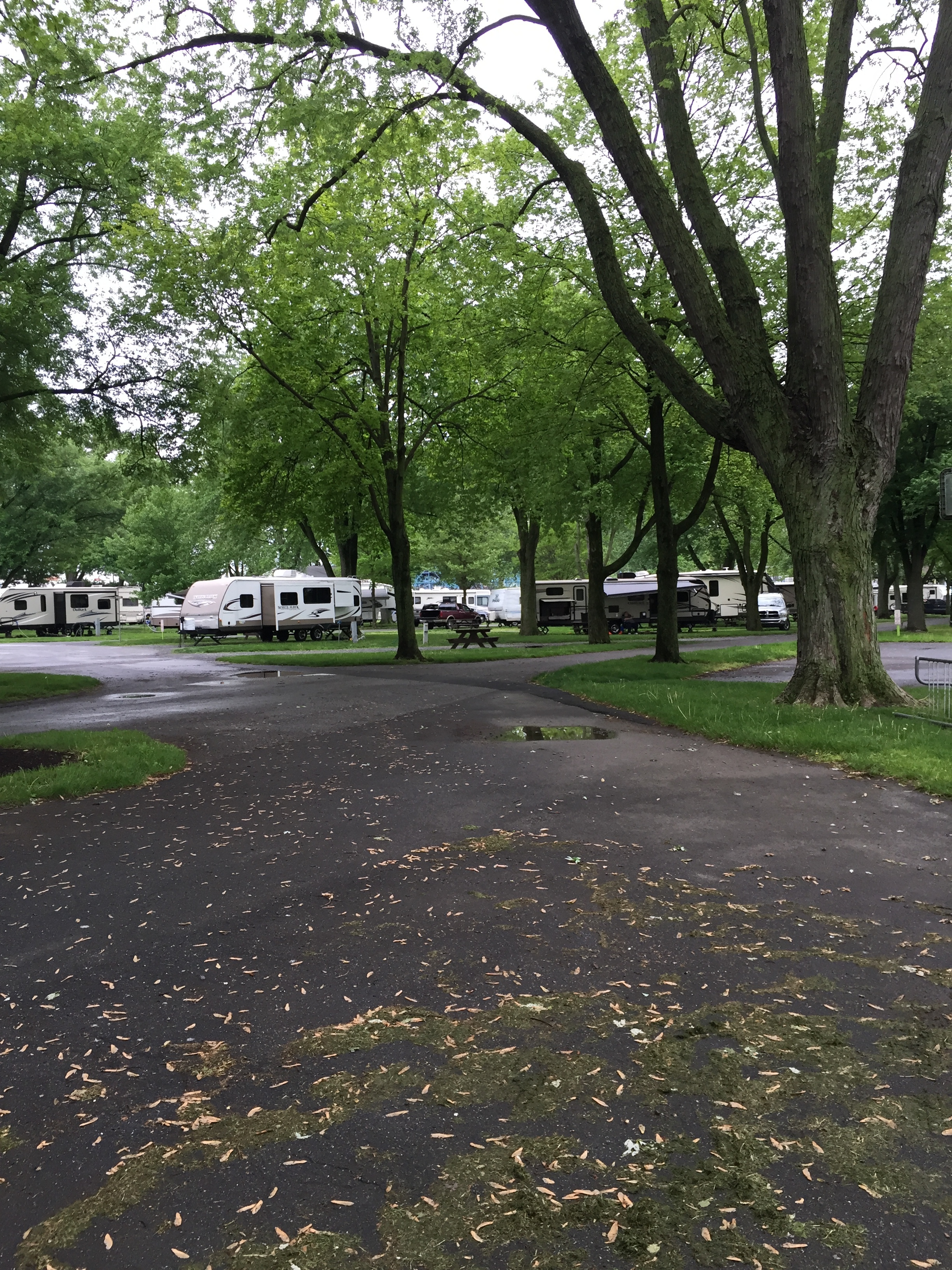 Old Mill Stream Campground Reviews updated 2026