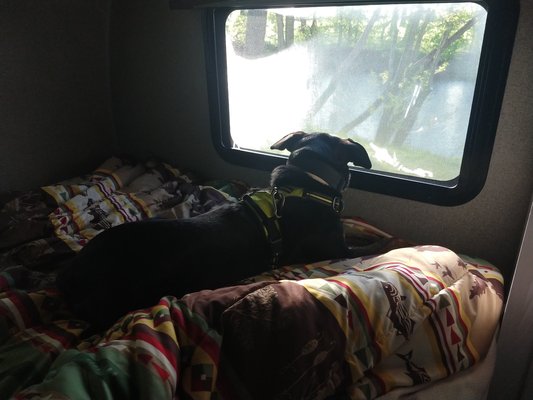 Red Run Campground Reviews updated 2020