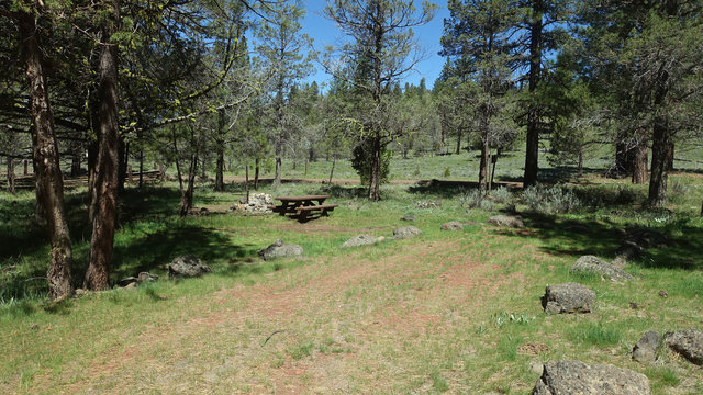Lower Rush Creek Campground Reviews updated 2025