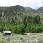 Lundy Canyon Campground Reviews - Campendium